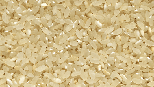 Discover Japonica Rice Health Benefits