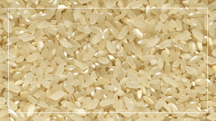 Indica Rice vs. Japonica Rice – Which Is Better?