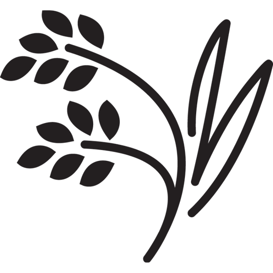 Chico Rice | California Japonica Milled Rice