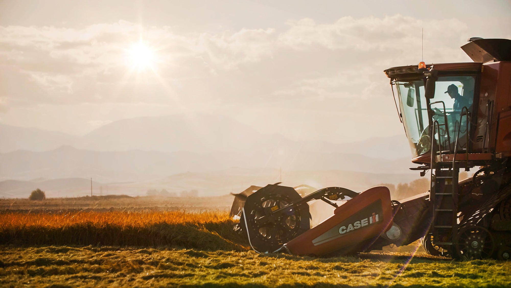 Chico Rice | California Japonica Milled Rice